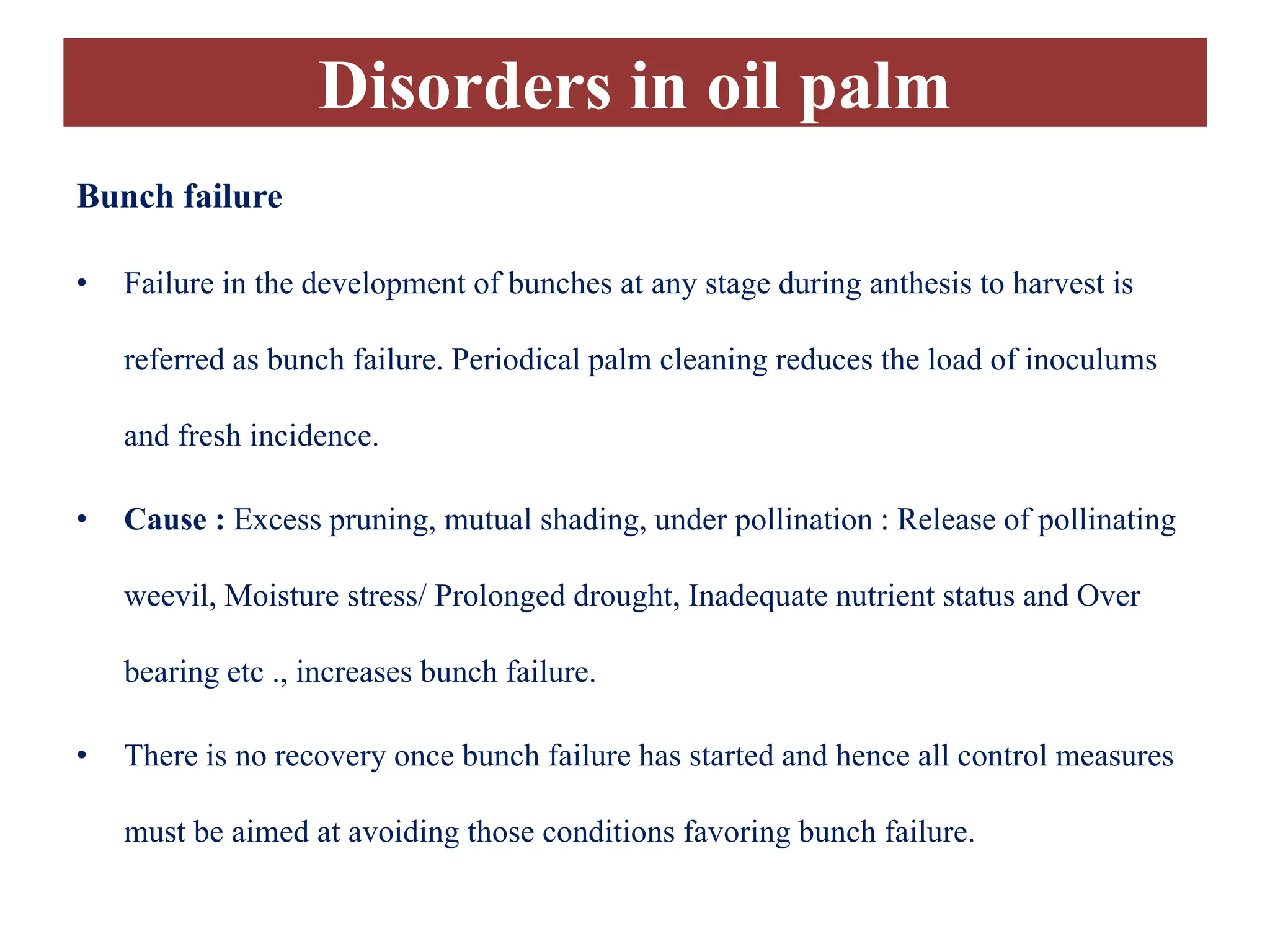 Production Technology of Oil Palm (Elaeis guineensis).pdf