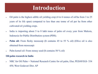 Production Technology of Oil Palm (Elaeis guineensis).pdf