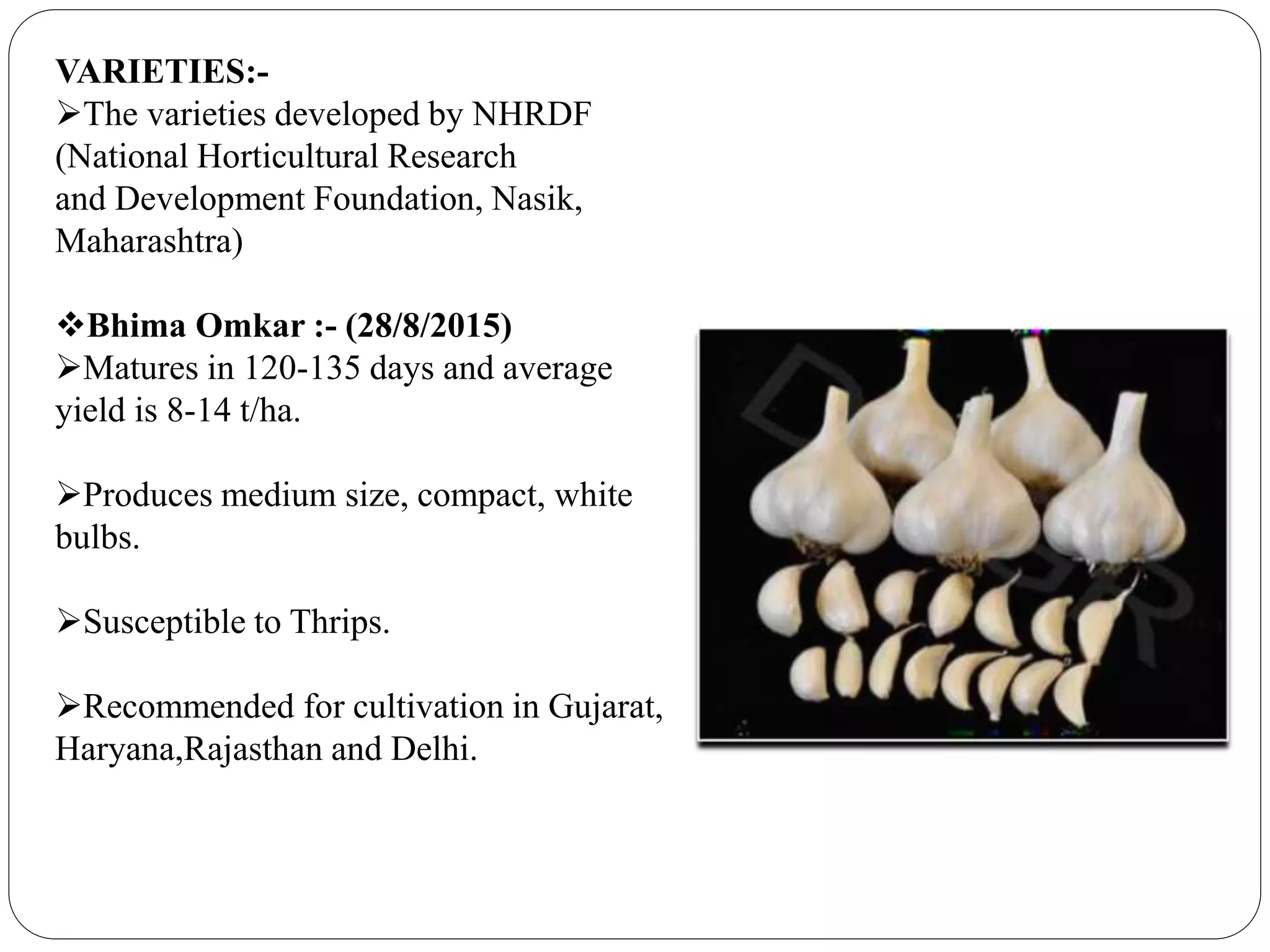 Production technology of onion and garlic | PPTX