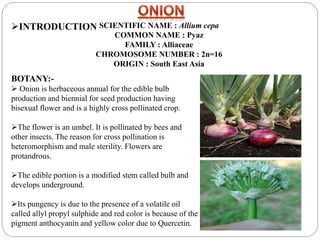 Production technology of onion and garlic | PPTX