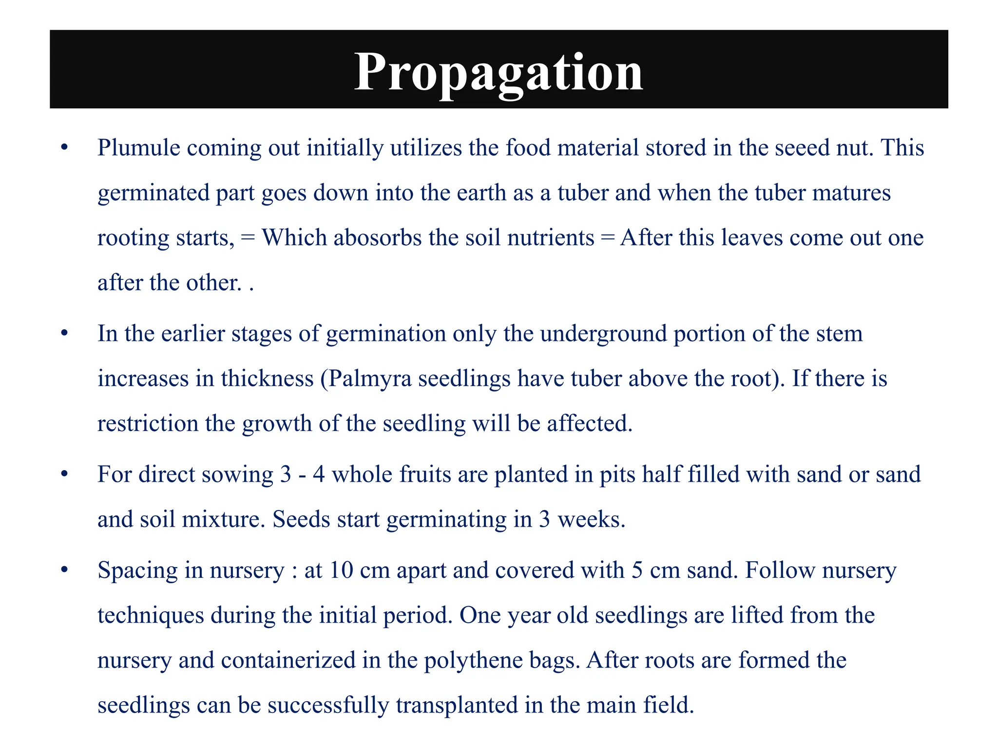 Production Technology of Palmyrah (Borassus flabellifer L) | PDF