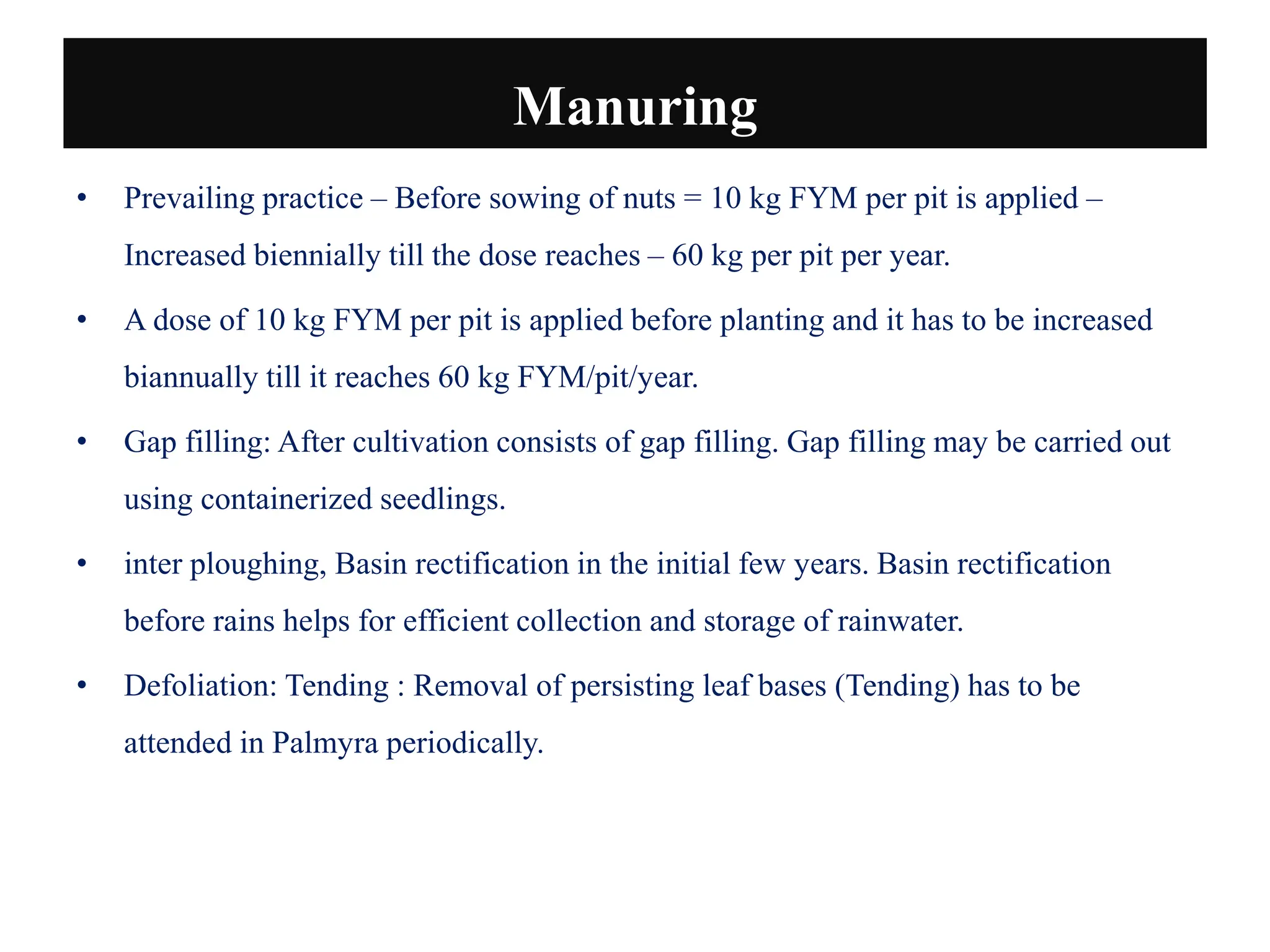 Production Technology of Palmyrah (Borassus flabellifer L) | PDF