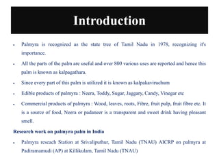 Production Technology of Palmyrah (Borassus flabellifer L) | PDF