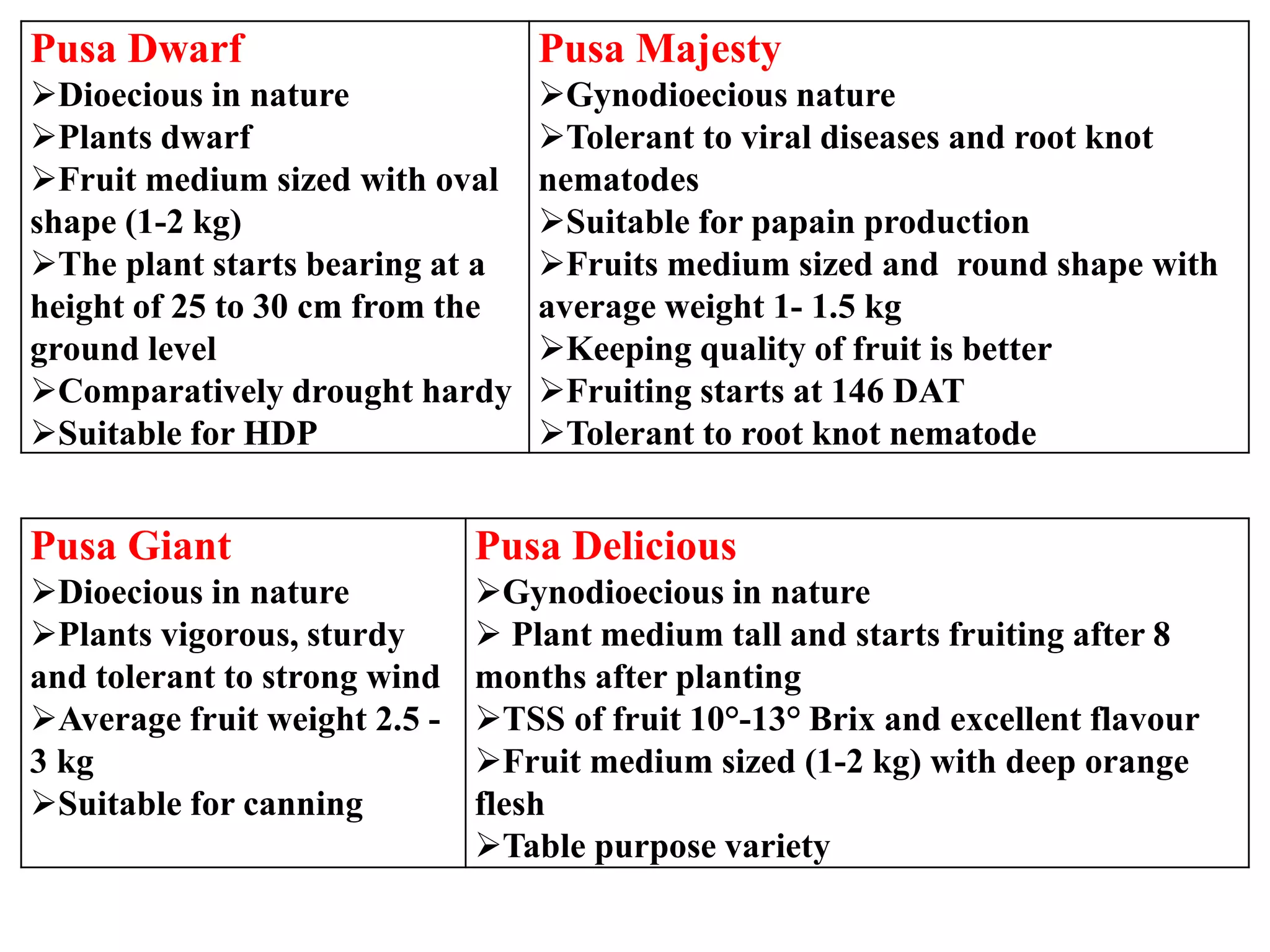 Production Technology of Papaya 5 (1).pptx