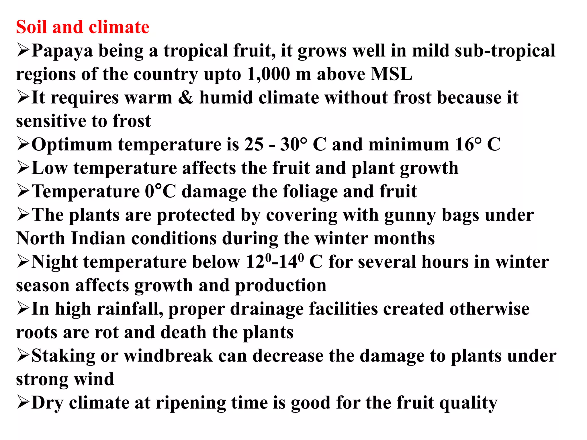 Production Technology of Papaya 5 (1).pptx
