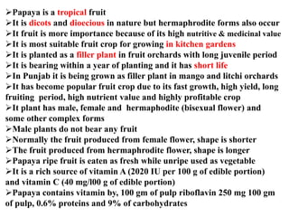 Production Technology of Papaya 5 (1).pptx