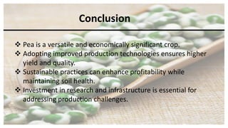 Production Technology of Pea (Pisum sativum) (1151).pdf