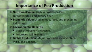 Production Technology of Pea (Pisum sativum) (1151).pdf