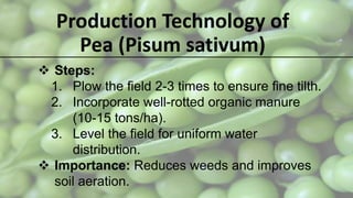Production Technology of Pea (Pisum sativum) (1151).pdf