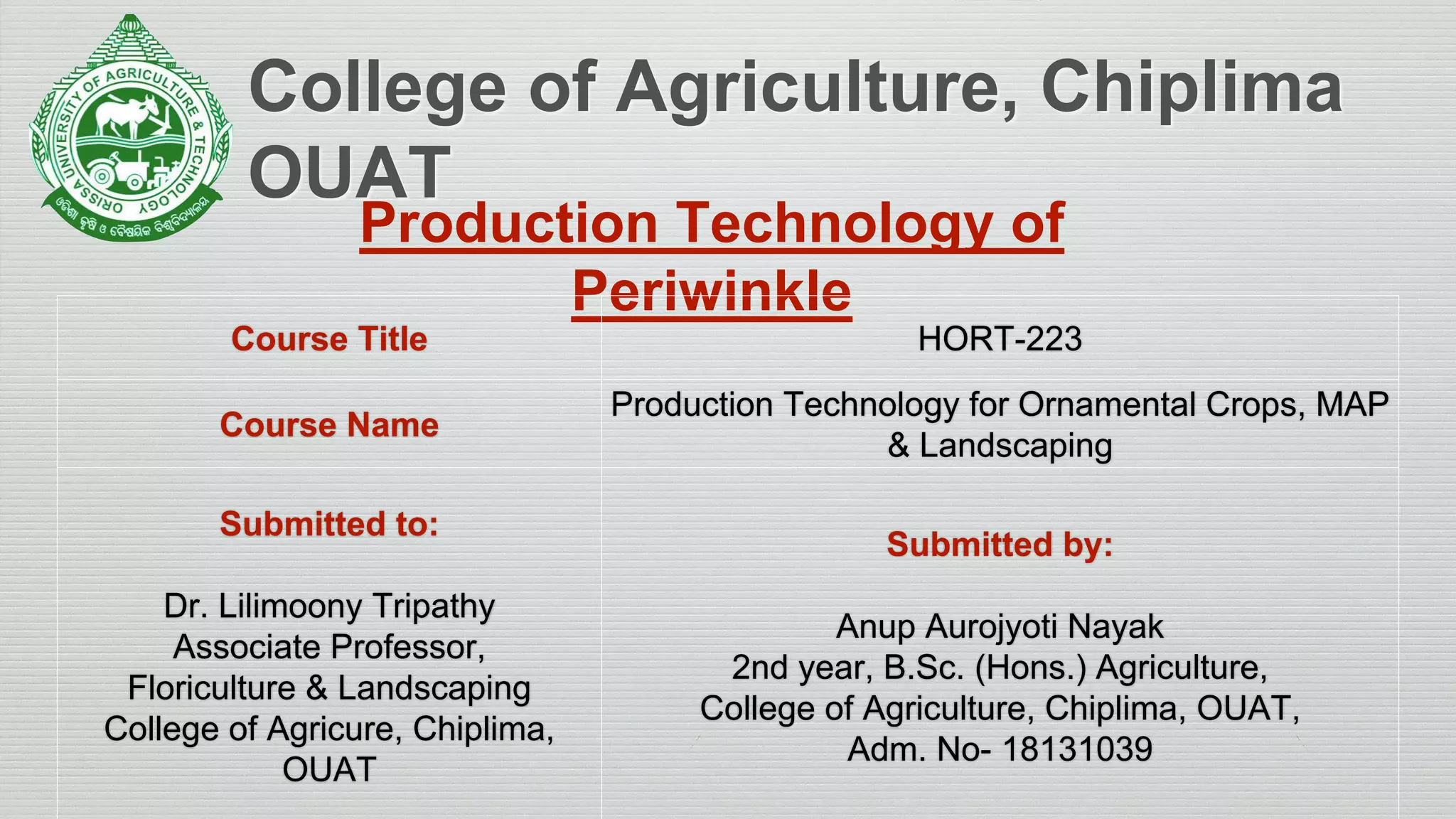 Production Technology of Periwinkle | PPTX