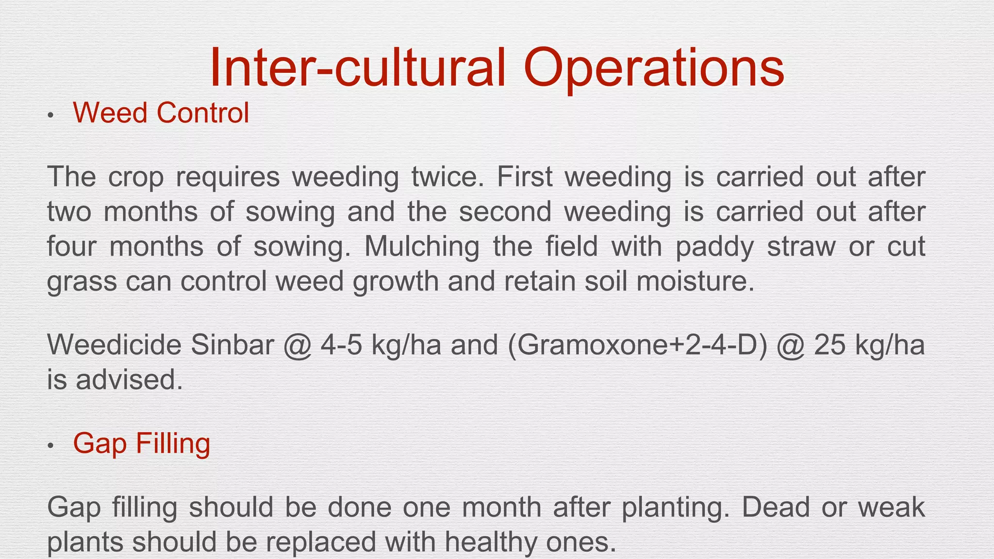 Production Technology of Periwinkle | PPTX