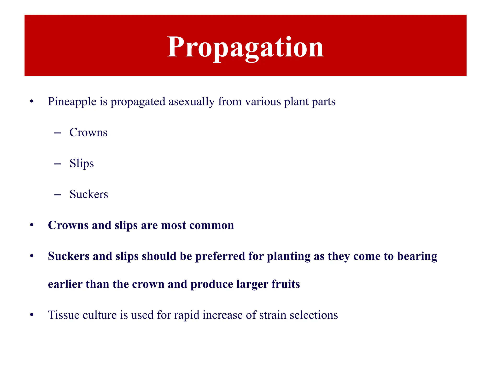 Advances in Production Technology of Pineapple.pdf