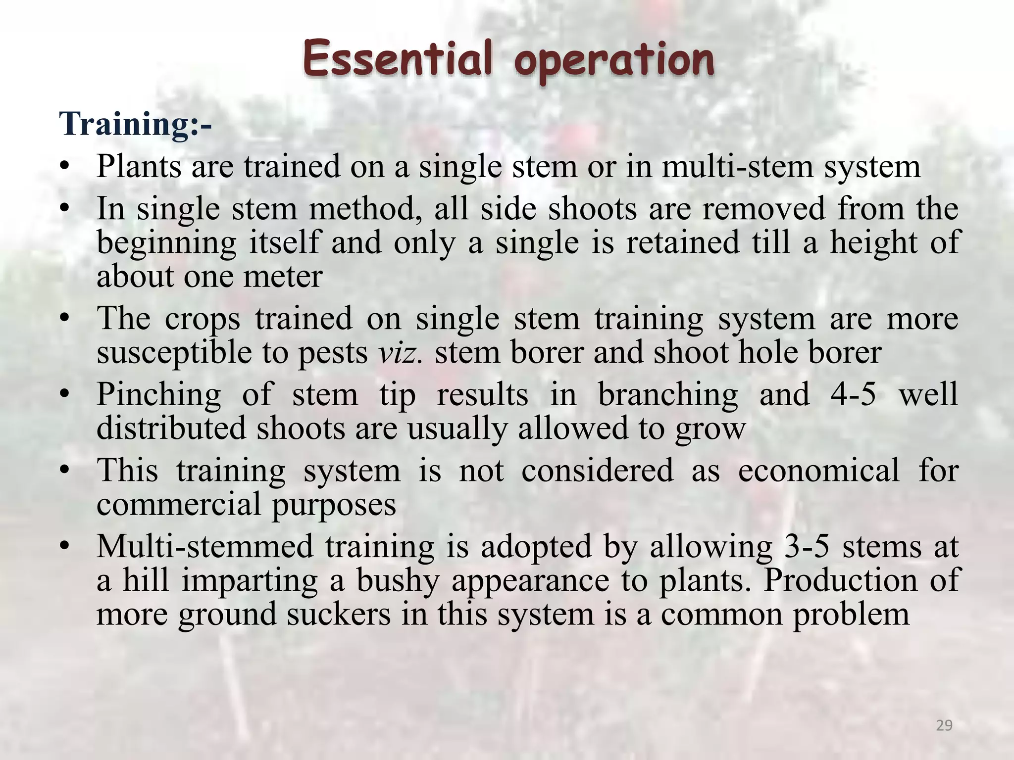 Production technology of pomegranate | PPTX