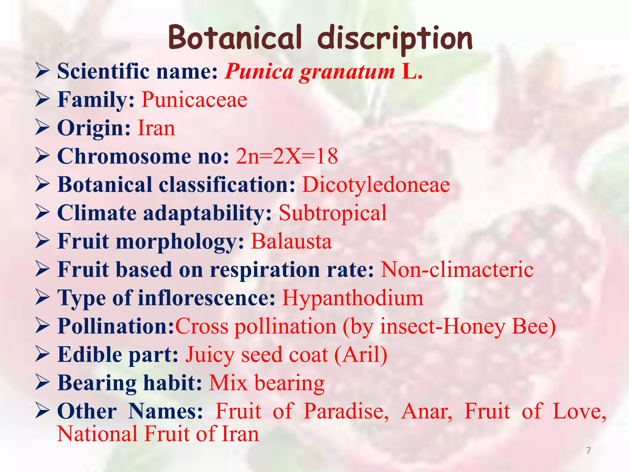 Production technology of pomegranate | PPTX