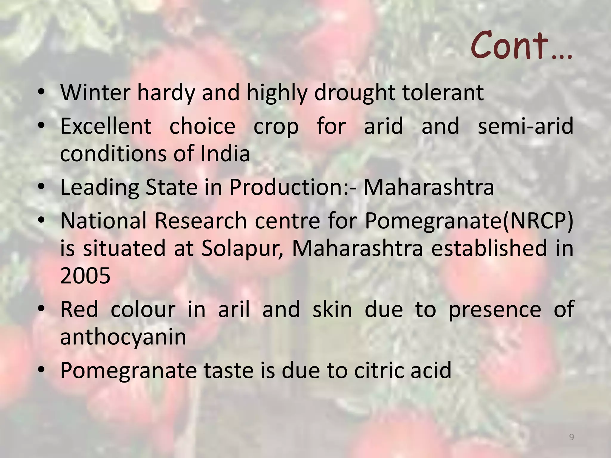 Production technology of pomegranate | PPTX