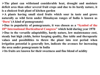 production Technology of Pomegranate.pptx
