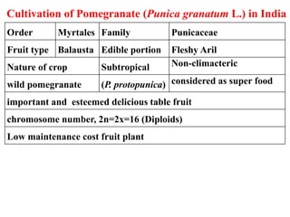 production Technology of Pomegranate.pptx