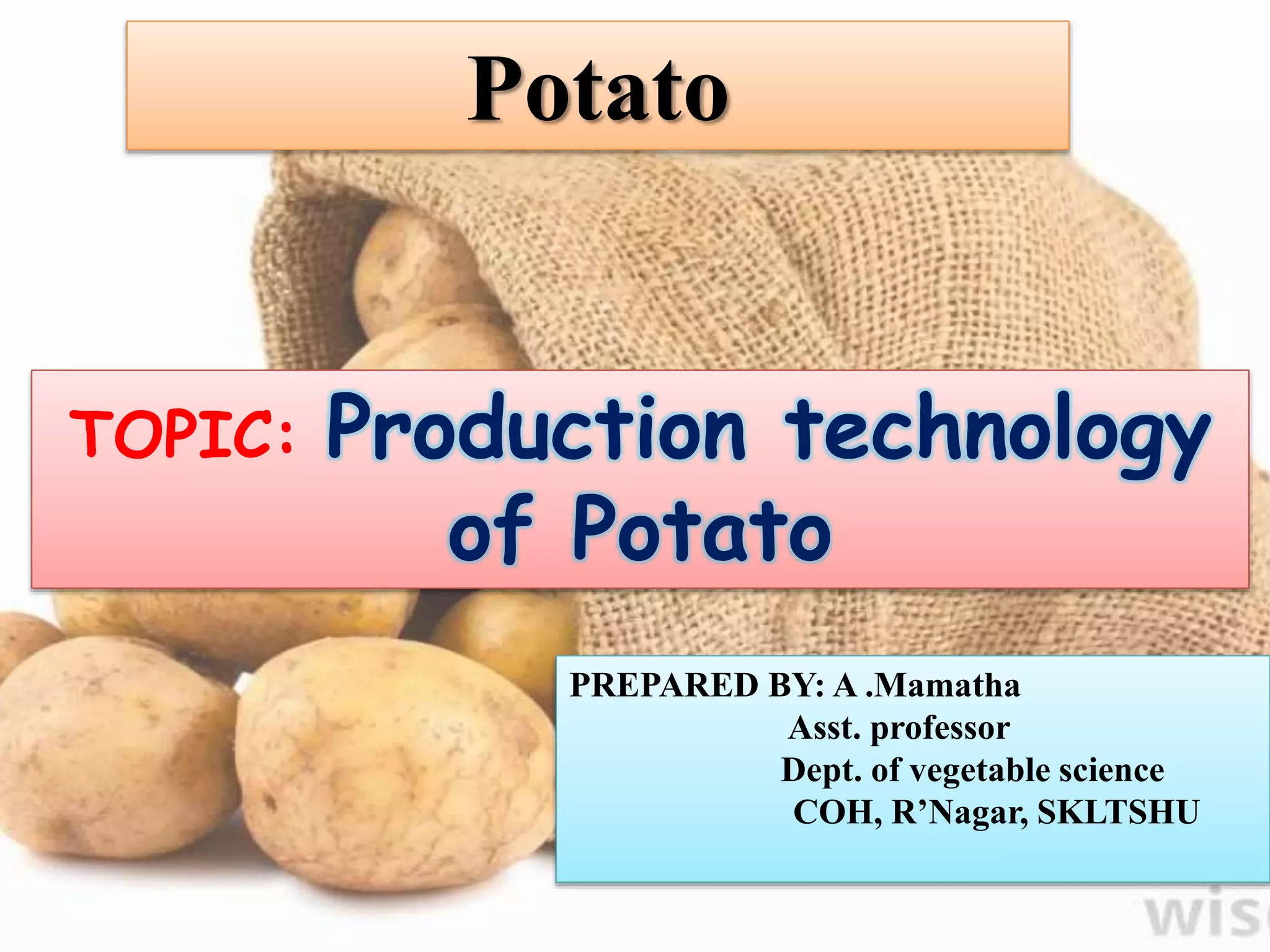 Production technology of Potato.pptx