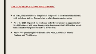 production and details technology of rose.pptx