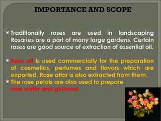 production technology of rose........ppt