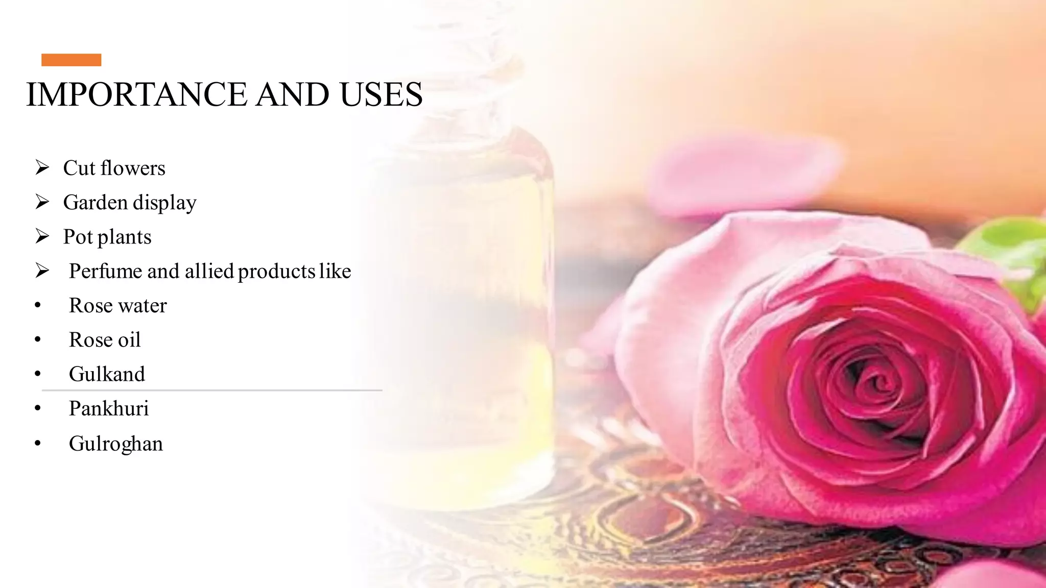 PRODUCTION TECHNOLOGY OF ROSES.pdf