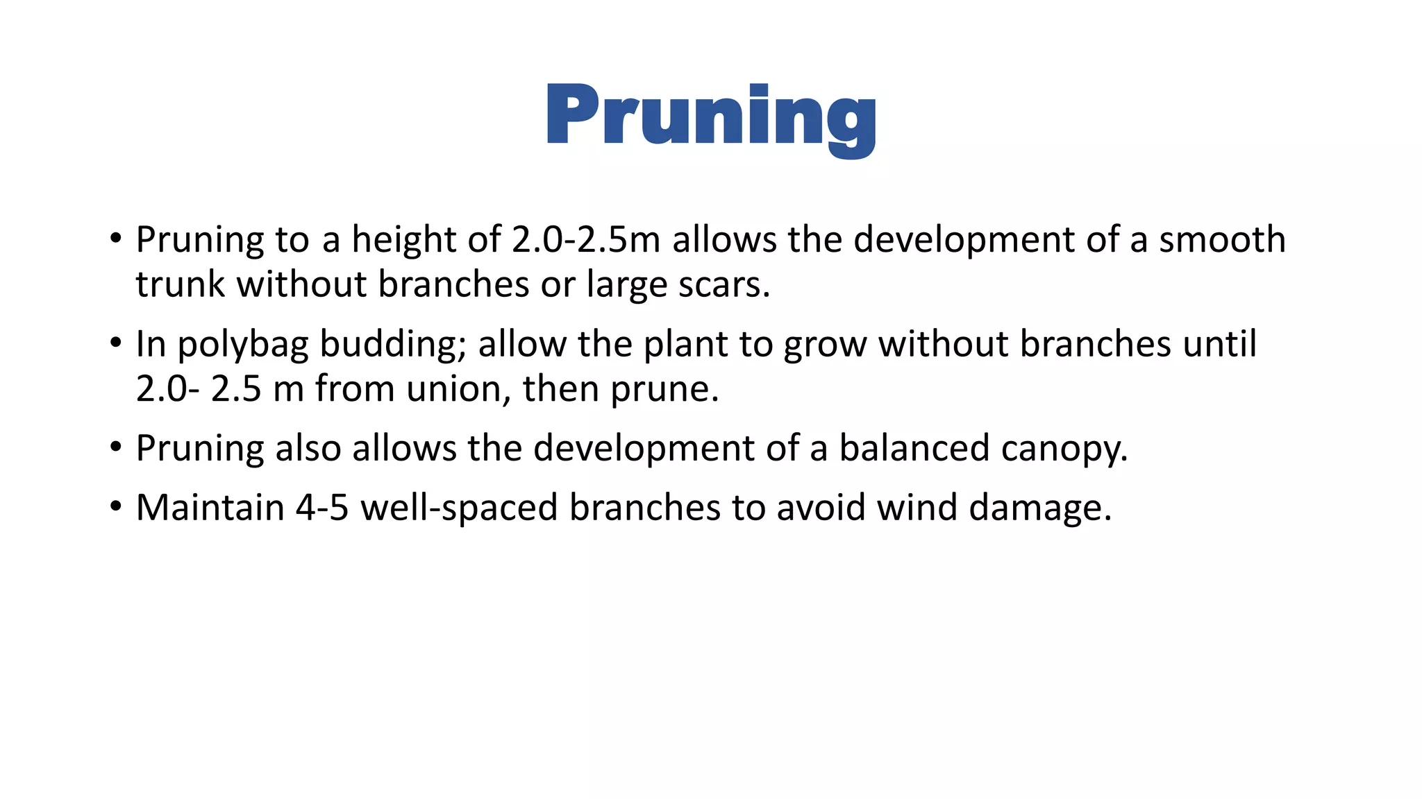Production technology of rubber tree | PDF