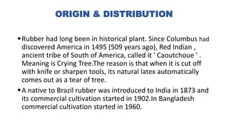 Production technology of rubber tree | PDF
