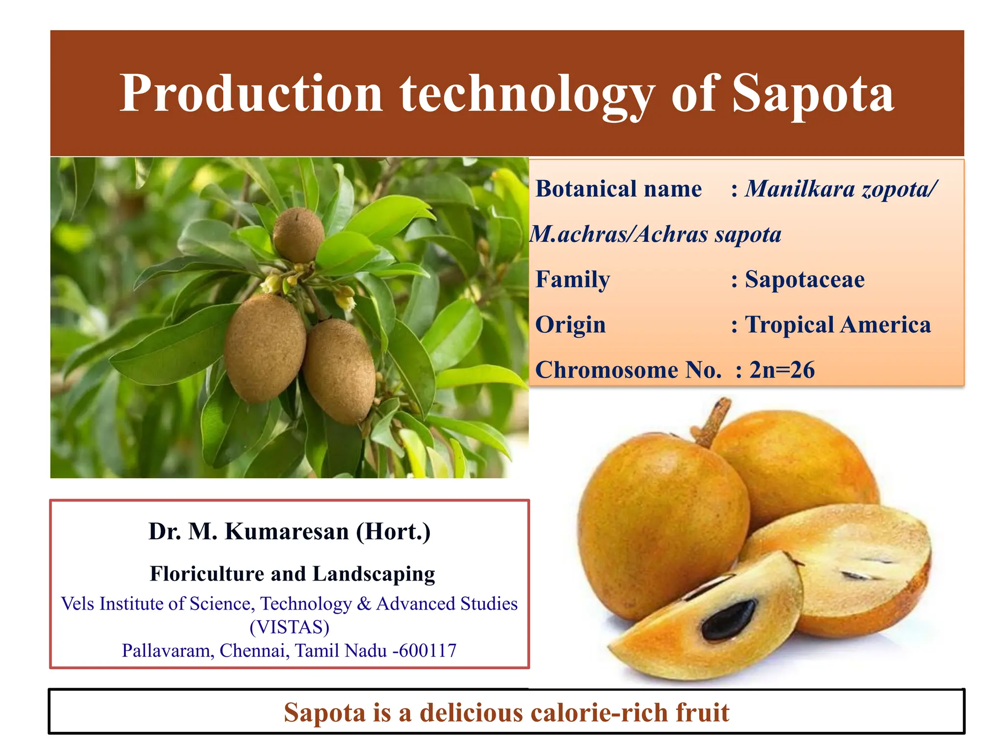 Advances in Production Technology of Sapota.pdf