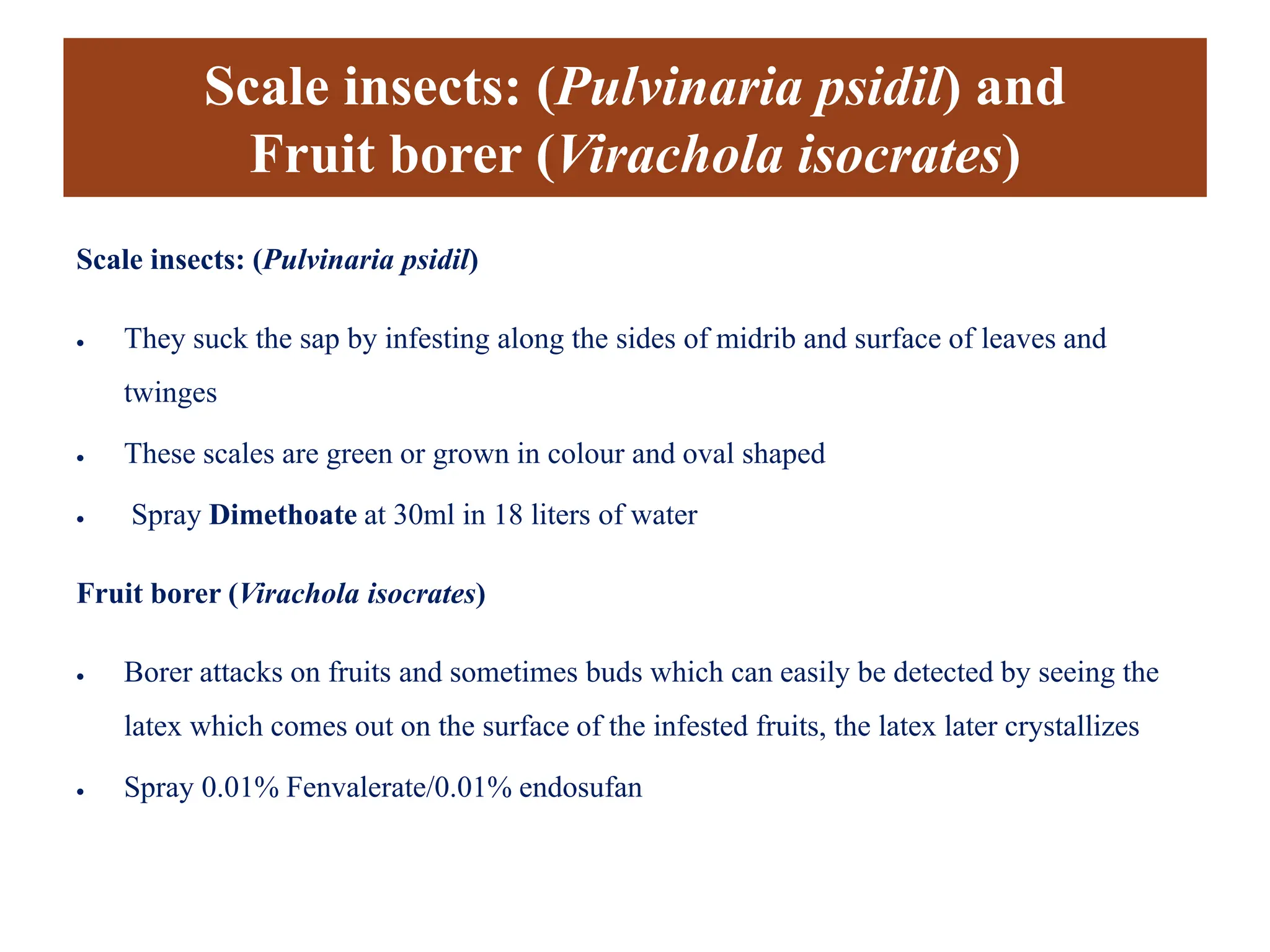 Advances in Production Technology of Sapota.pdf
