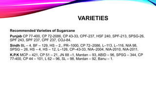 Production technology of sugarcane | PPTX