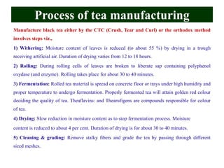Production Technology of Tea (Camellia sinensis)pdf | PDF