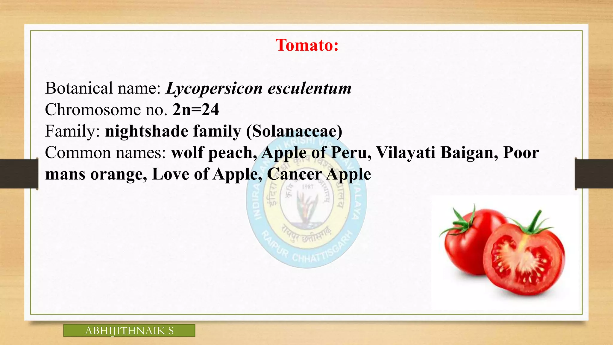 PRODUCTION TECHNOLOGY OF TOMATO.pptx