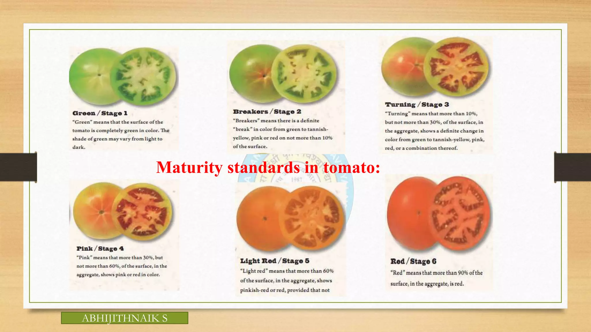 PRODUCTION TECHNOLOGY OF TOMATO.pptx