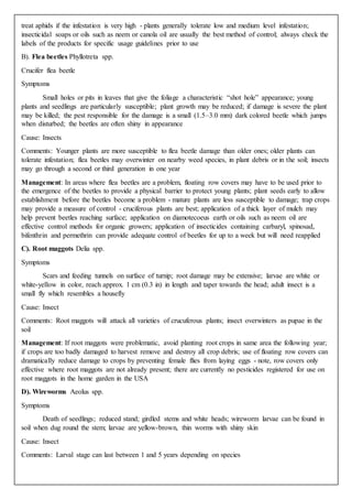 Production technology of turnip | DOCX
