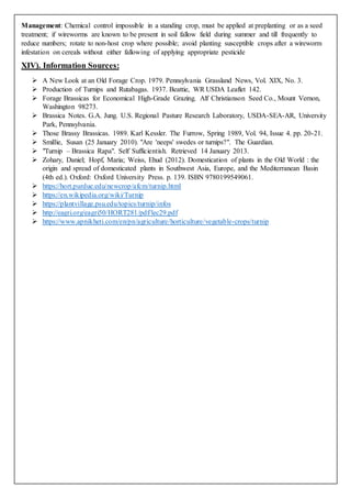 Production technology of turnip | DOCX