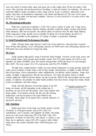 Production technology of turnip | DOCX
