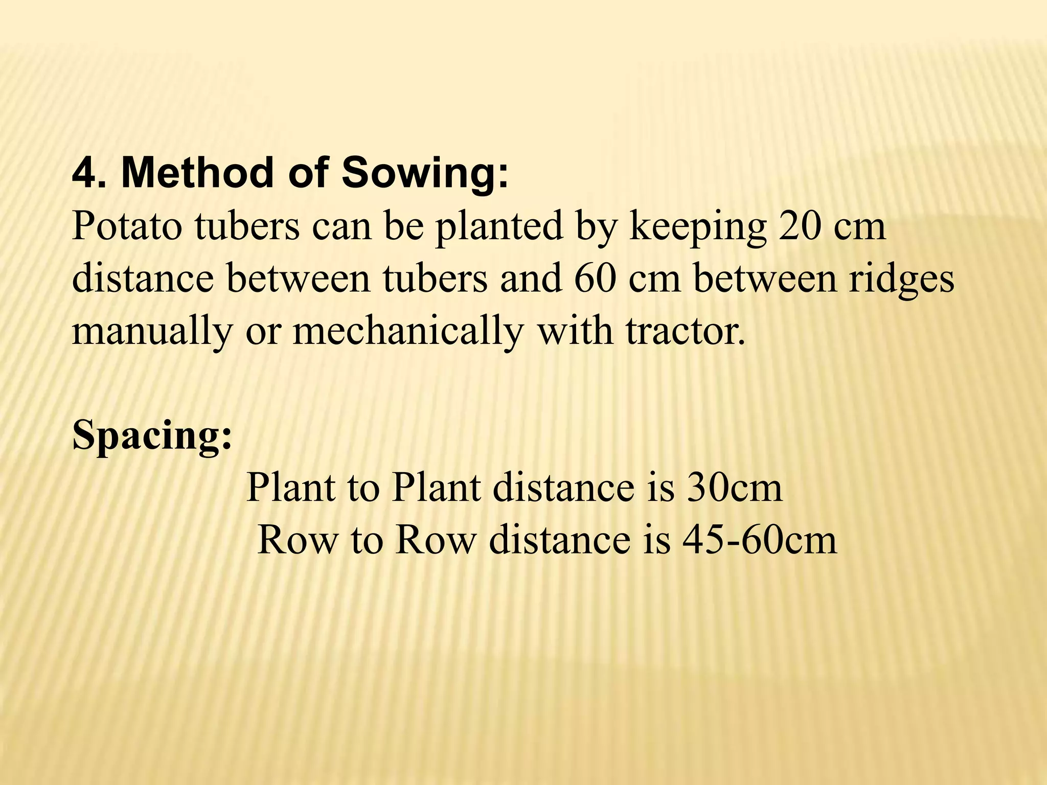 Production tehnology of potato crop | PPTX