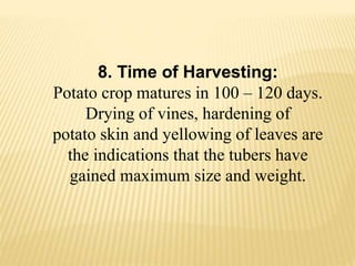 Production tehnology of potato crop | PPTX