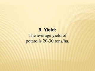 Production tehnology of potato crop | PPTX