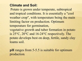 Production tehnology of potato crop | PPTX