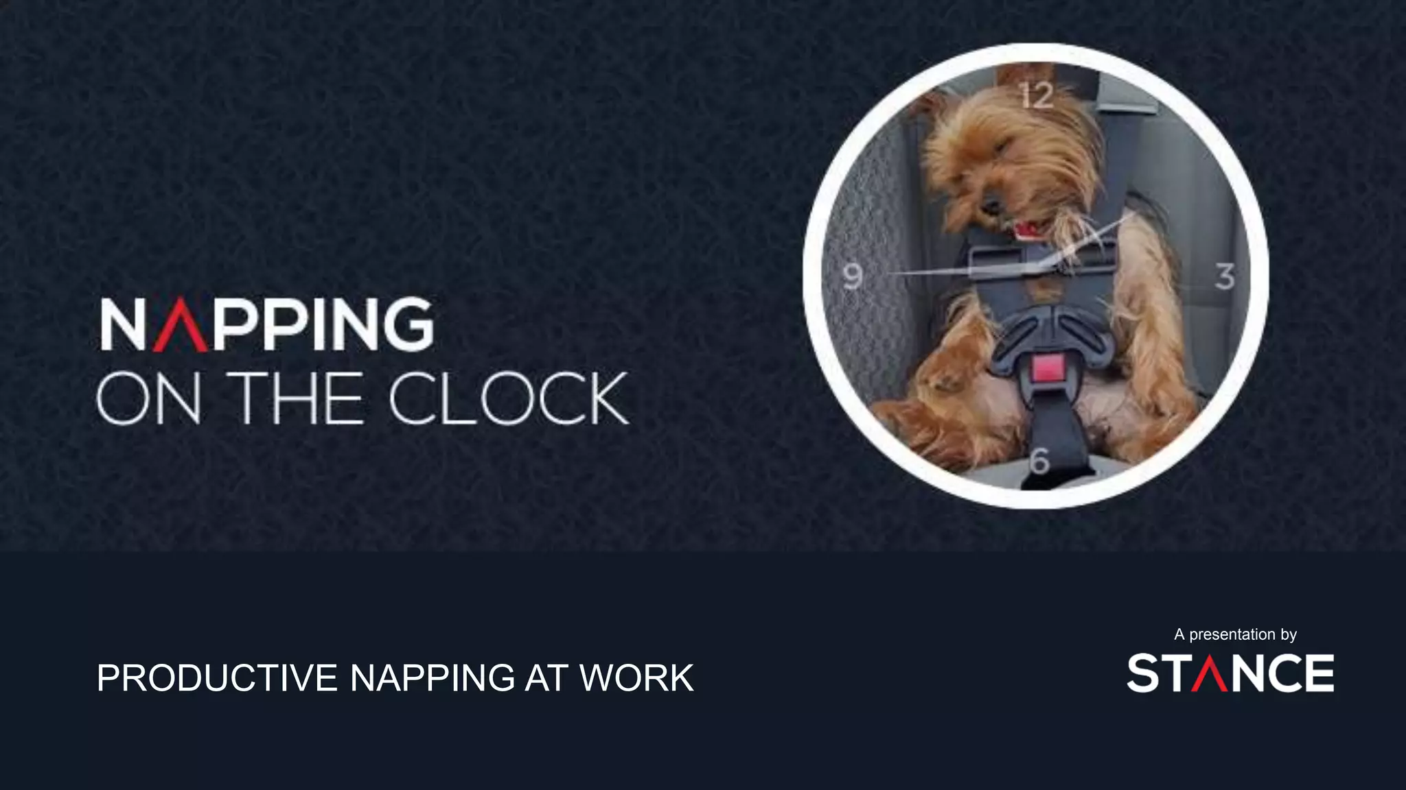 Productive Napping at Work | PPSX