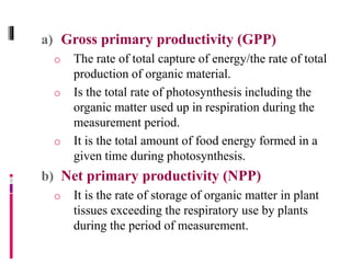 Primary Productivity Definition