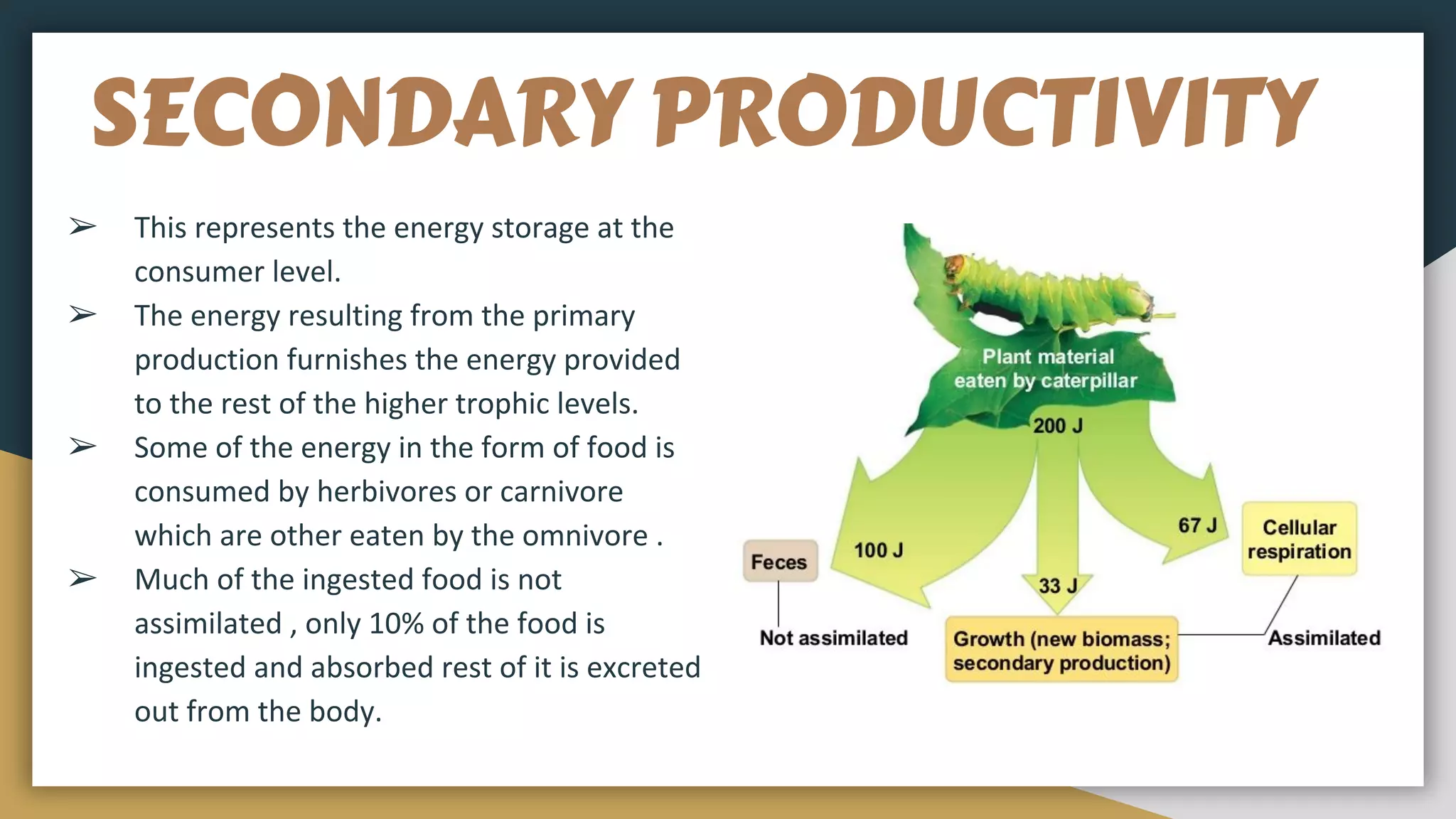 Productivity in ecosystem | PDF