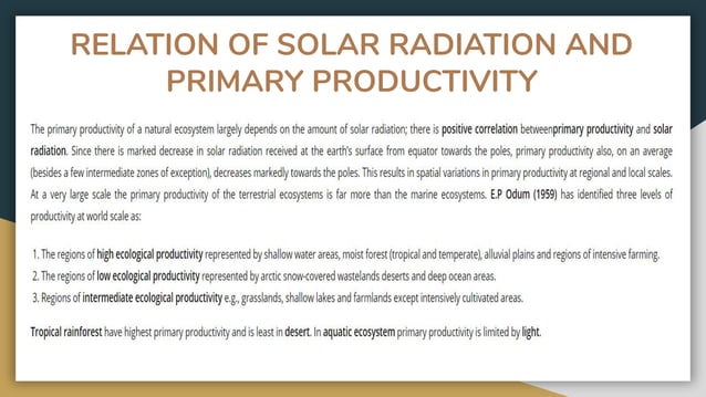 Productivity in ecosystem | PDF