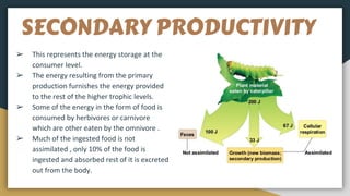 Productivity in ecosystem | PDF
