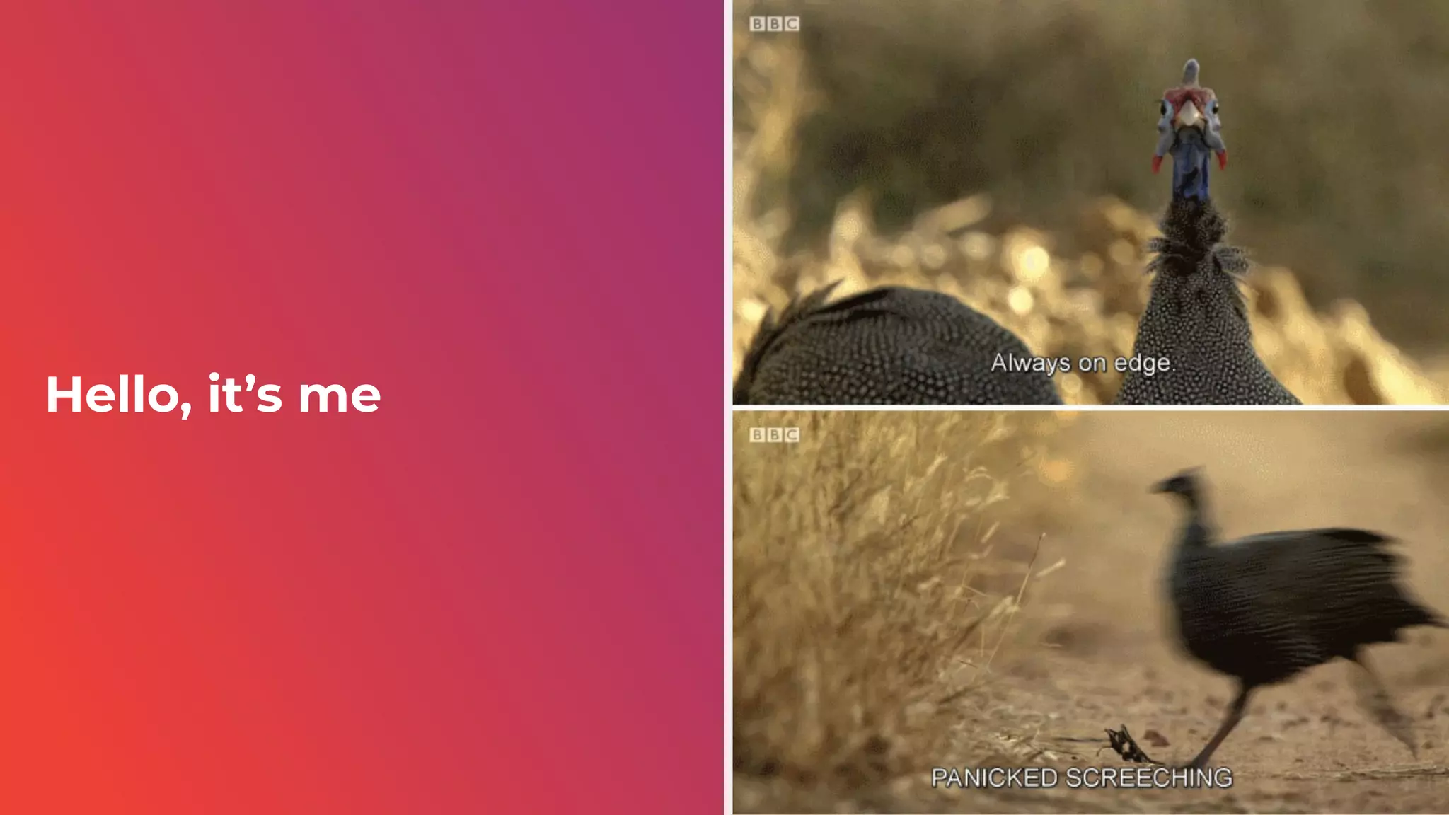 Joshua Mauldin "Conflict resolution for people who hate conflict ...