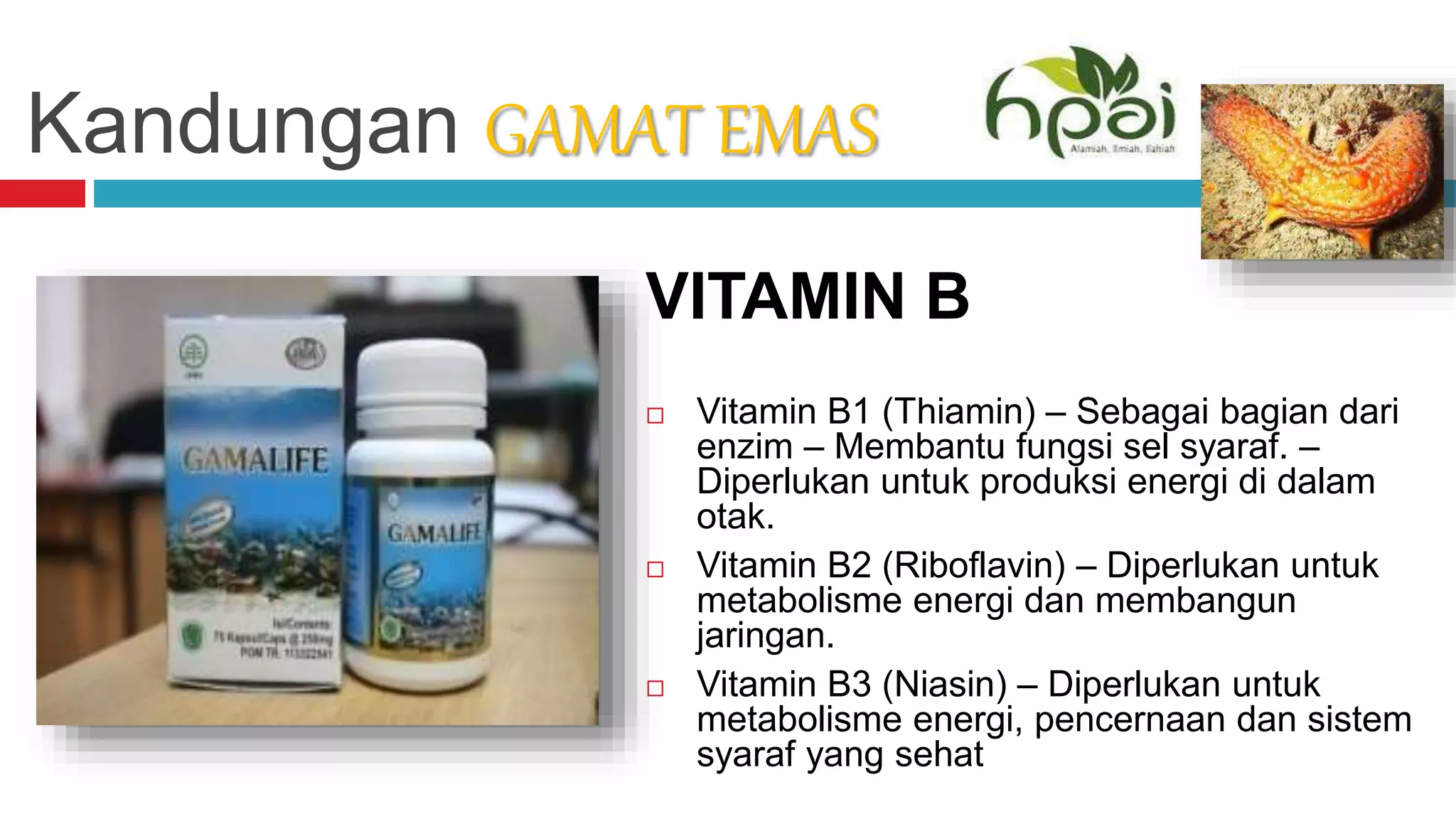 Product knowledge kapsul gamat hpai timun emas | PPTX