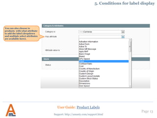 Product Label: Magento Extension by Amasty. User Guide. | PPT