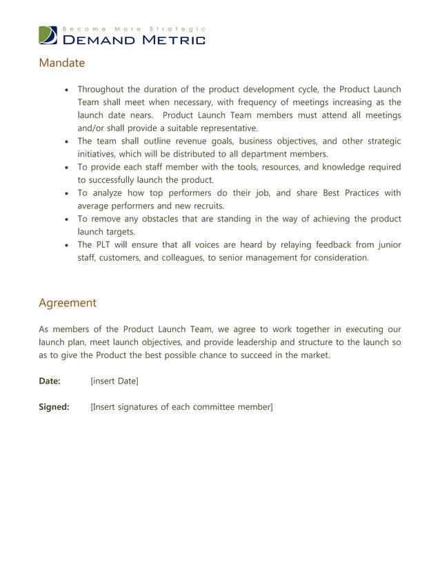 Product Launch Team Charter | PDF