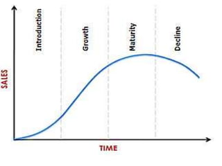 Product life cycle of Maruti 800 (ASSIGNMENT) | PPTX
